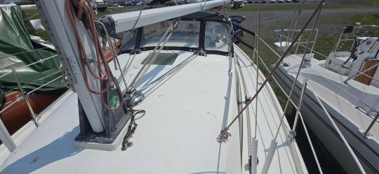 Tanzer 31 31 pieds 1984 Bel Gueule II 19,900.00 $ CA