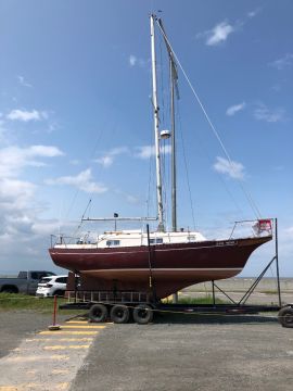 Bayfield 29 29 pieds 1981 Barbe Rouge 25,000.00 $ CA