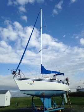 Voilier Hunter 28.5 28.5 pieds 1987 Monark - (canadien) 25,000.00 $ CA